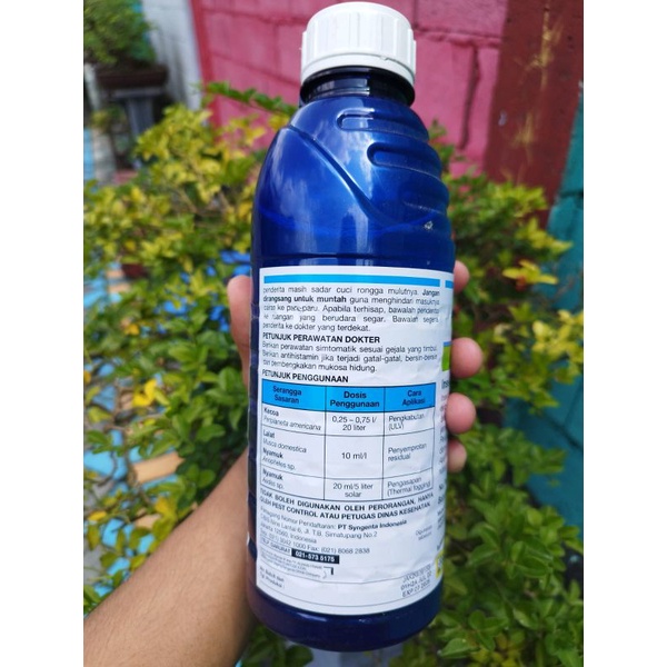 Jual Icon 25 EC pembasmi nyamuk,lalat& kecoa obat fogging | Shopee Indonesia