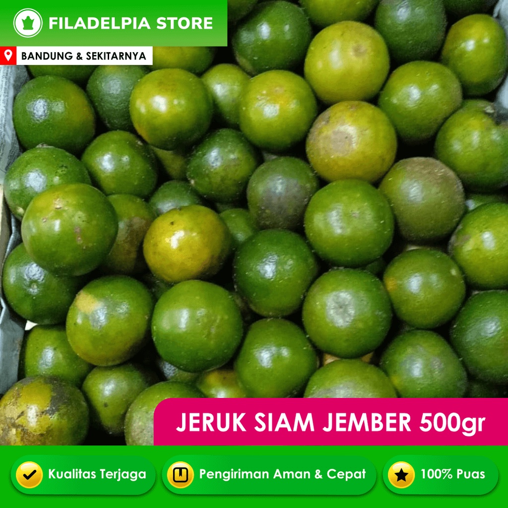 Jual Buah Jeruk Siam Jember Segar 500g / 1kg Bandung Kota Murah Promo ...