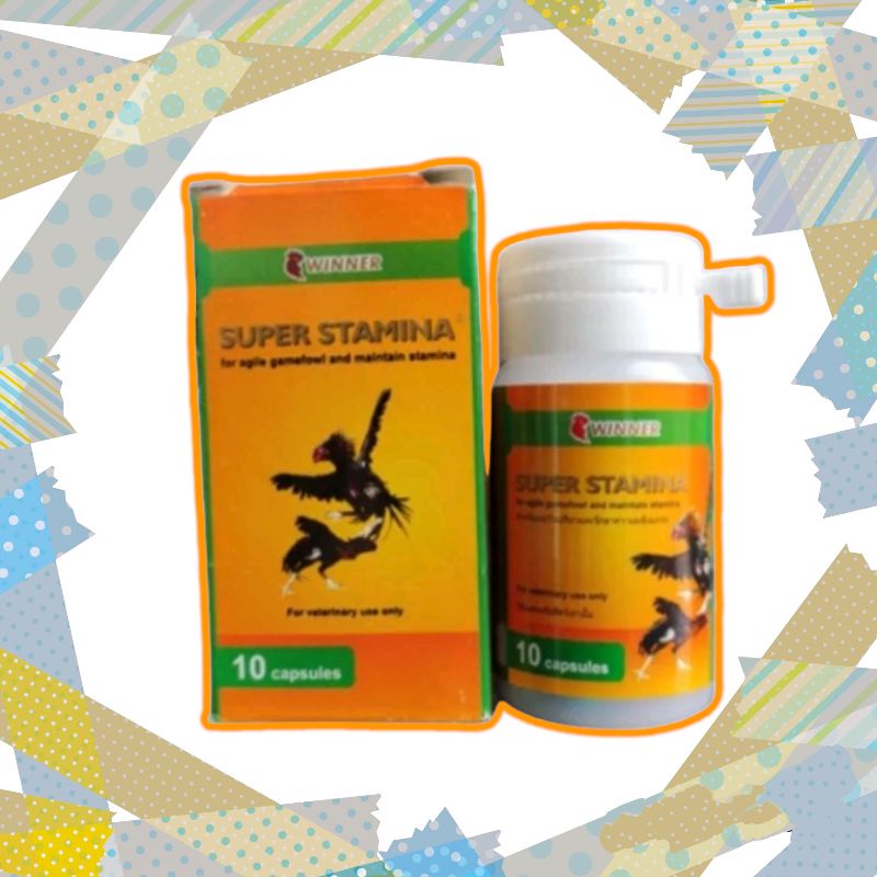 Jual Super stamina ayam 10 kapsul | Shopee Indonesia