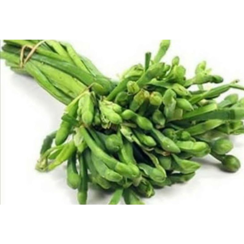 Jual Bunga Genjer,Daun Genjer | Shopee Indonesia