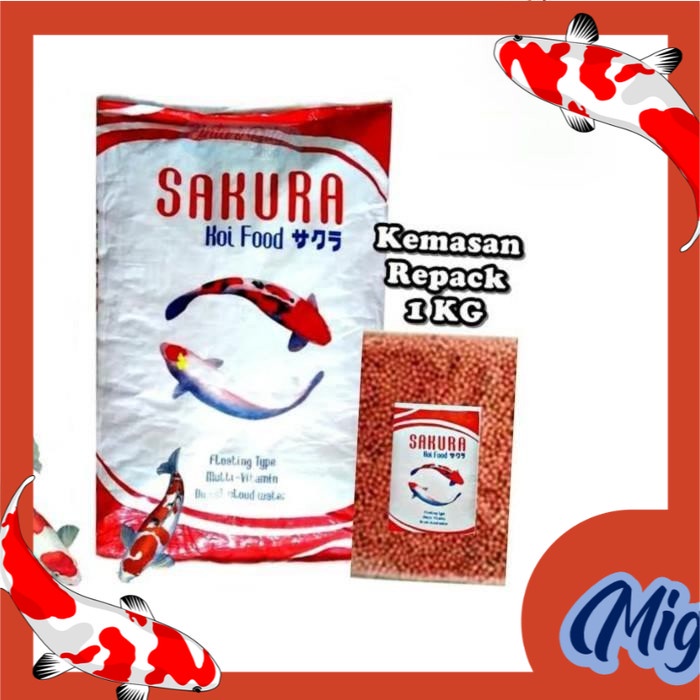 Jual Pakan Pelet Ikan Koi SAKURA Koi Food Apung Ukuran 5 mm 1 kg ecer ...
