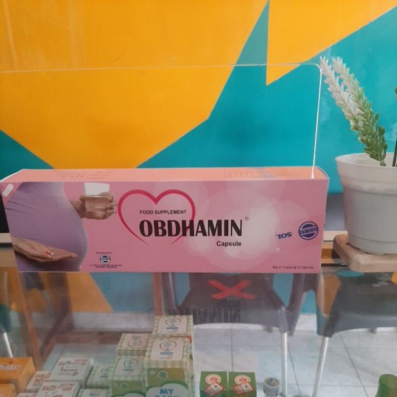 Jual OBDHAMIN (vitamin & mineral ibu hamil & menyusui) | Shopee Indonesia