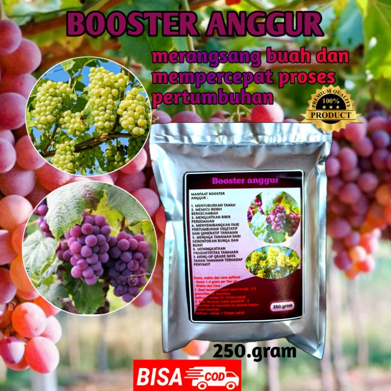 Jual pupuk booster anggur pupuk perangsang buah melebatkan menyuburkan | Shopee Indonesia
