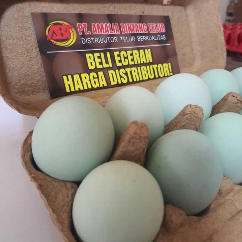 Jual ABT - Telur Asin Matang Masir, Lezat dan Bergizi isi 10 Butir ...