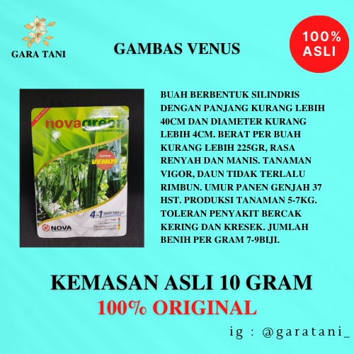 Jual BENIH GAMBAS VENUS KEMASAN 10 GRAM | KEMASAN ASLI PABRIK 100% ...