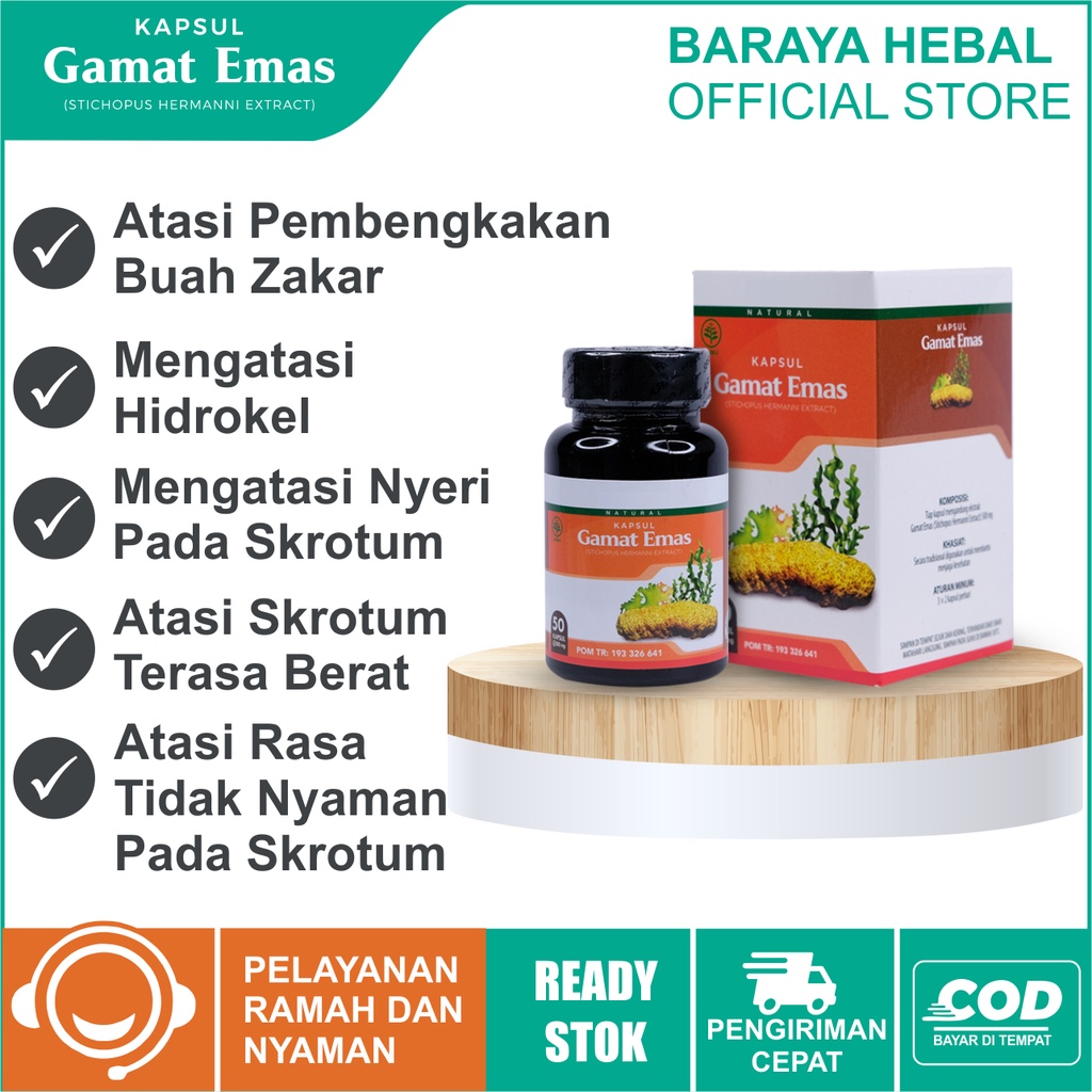 Jual Obat Hidrokel Pembengkakan Buah Zakar Dan Nyeri Skrotum Kapsul ...