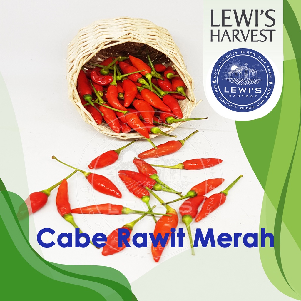 Jual Cabe Rawit Merah fresh | Shopee Indonesia