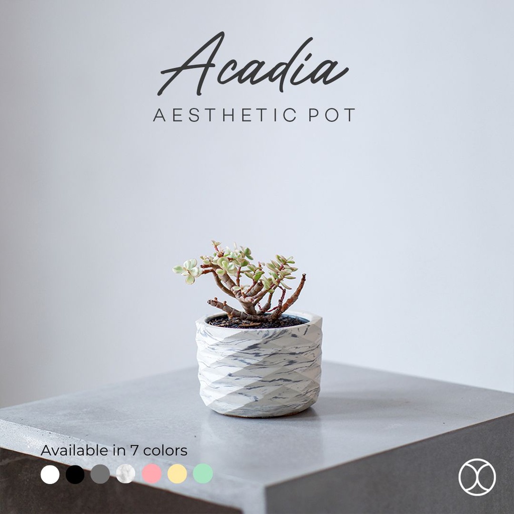 Jual CONCREATE LIVING Pot 10 Cm Acadia Home Decor 10 Cm Pot Aesthetic ...