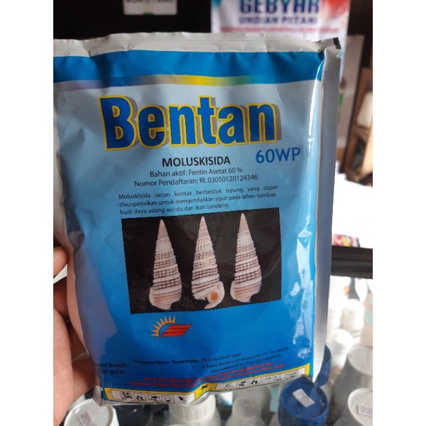 Jual Bentan 60WP 100gram | Shopee Indonesia