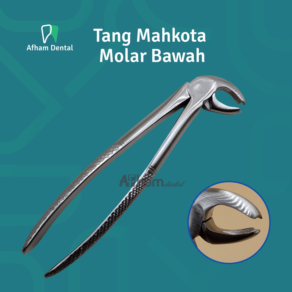 Jual DENTAL TANG CABUT GIGI DEWASA SATUAN ADULT TOOTH FORCEP / FORCEPT ...