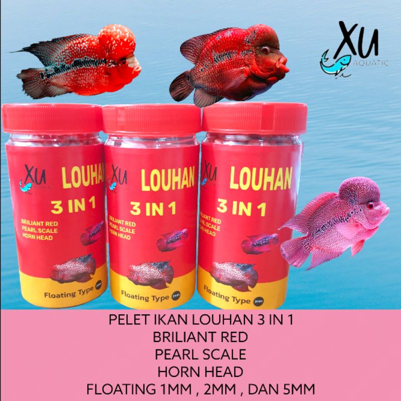 Jual PELET LOUHAN 3 IN 1 MAKANAN PAKAN PELET IKAN LOUHAN LOHAN 100 GRAM ...