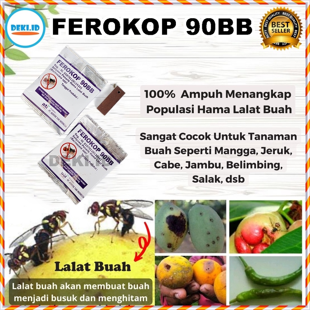 Jual Ferokop 90 BB Pengendali Efektif Hama Lalat Buah Tanaman Atraktan ...