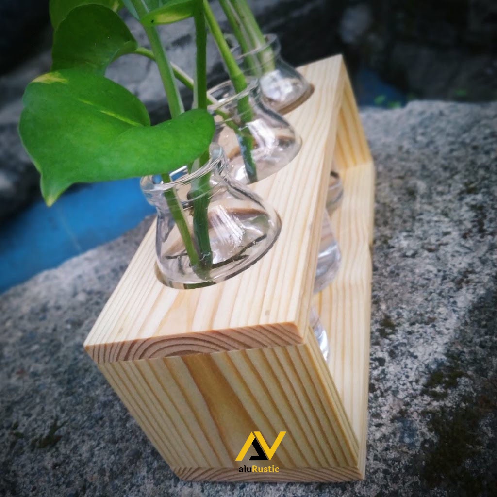 Jual VAS TANAMAN RUSTIC / PLANTER KAYU JATI BELANDA / PROPAGATION VASE ...