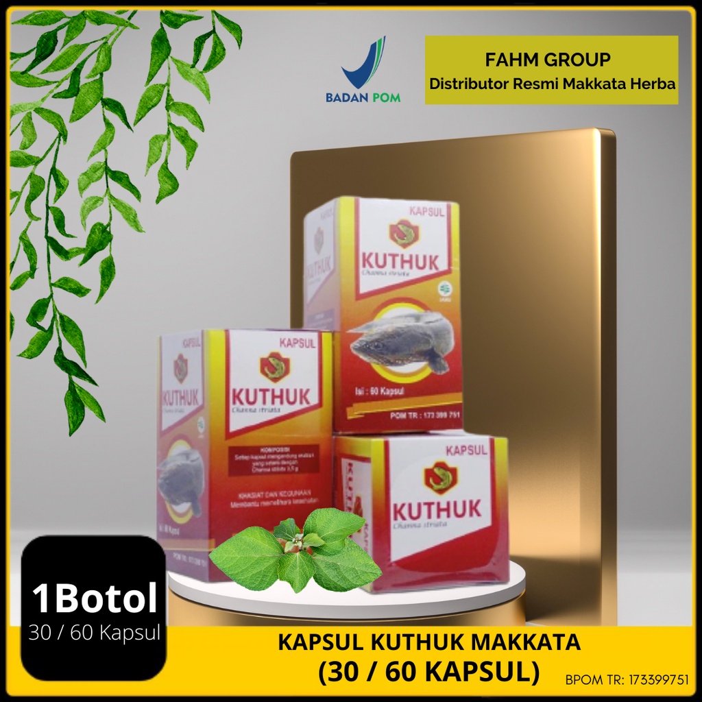 Jual Kapsul Kutuk - Kuthuk - Pil Kutuk Ekstrak Ikan Gabus - Obat Pengering Luka Ampuh - Makkata ...
