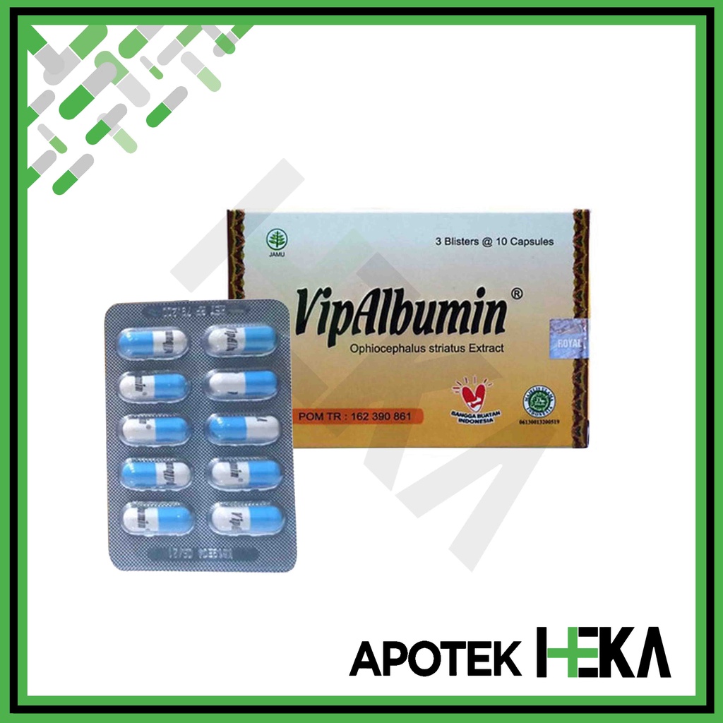 Jual Vipalbumin Box isi 3x10 Kapsul - Ekstrak Ikan Gabus (SEMARANG ...