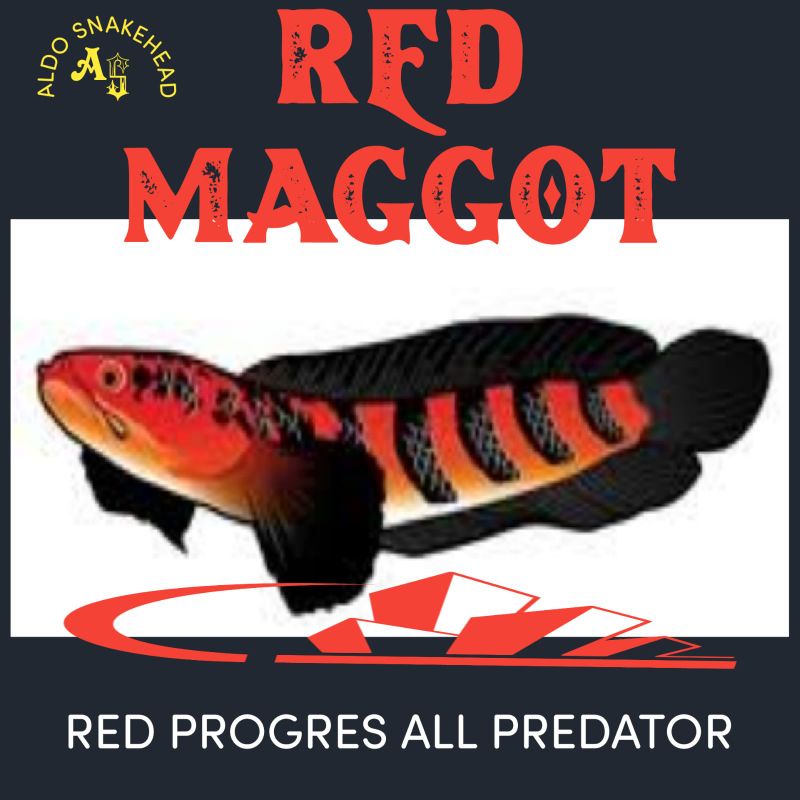 Jual MAGOT All VARiAN WARNA/PAKAN IKAN PREDATOR | Shopee Indonesia