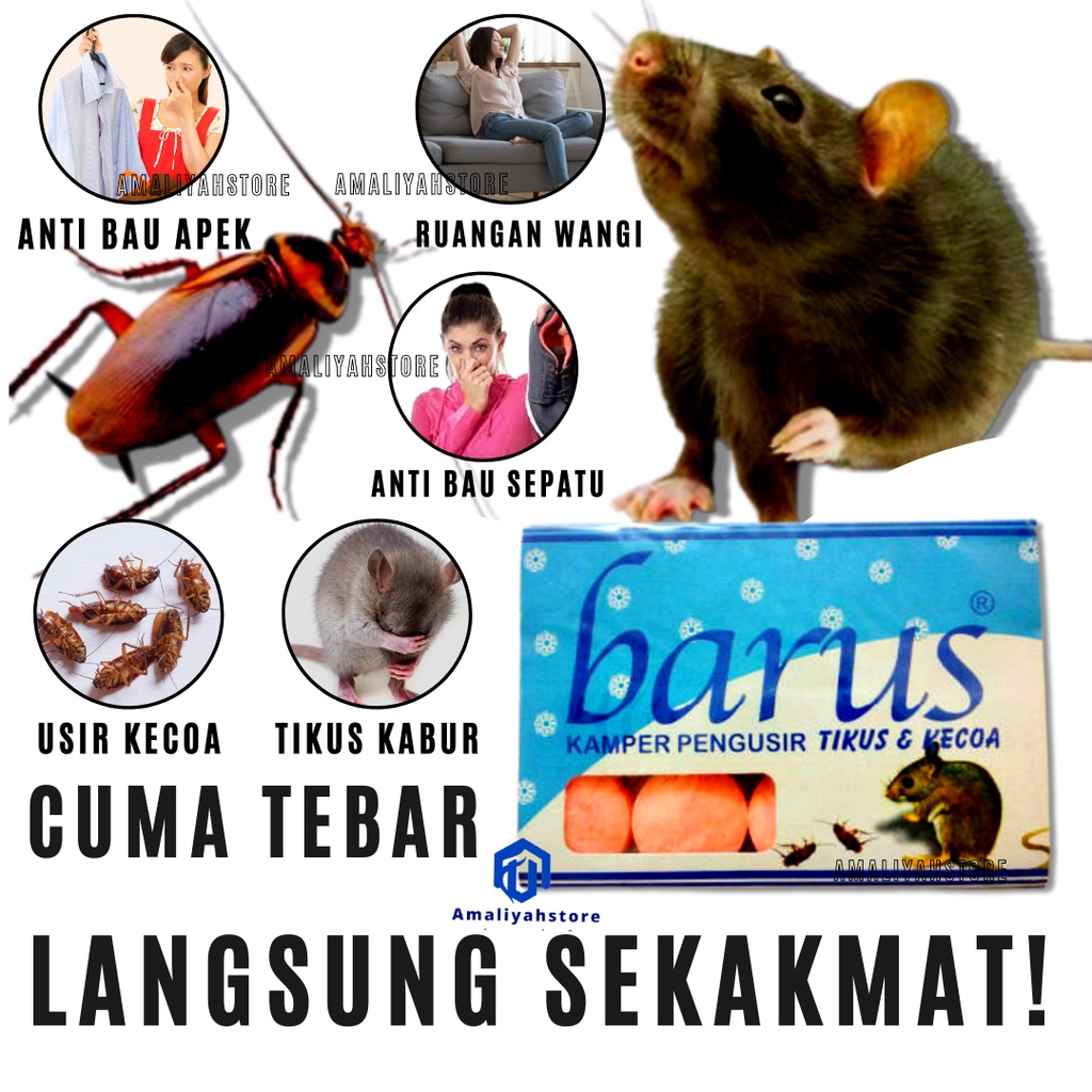 Jual Kamper Barus Obat Pengusir Pembasmi Tikus Anti Serangga Dan Kecoa ...