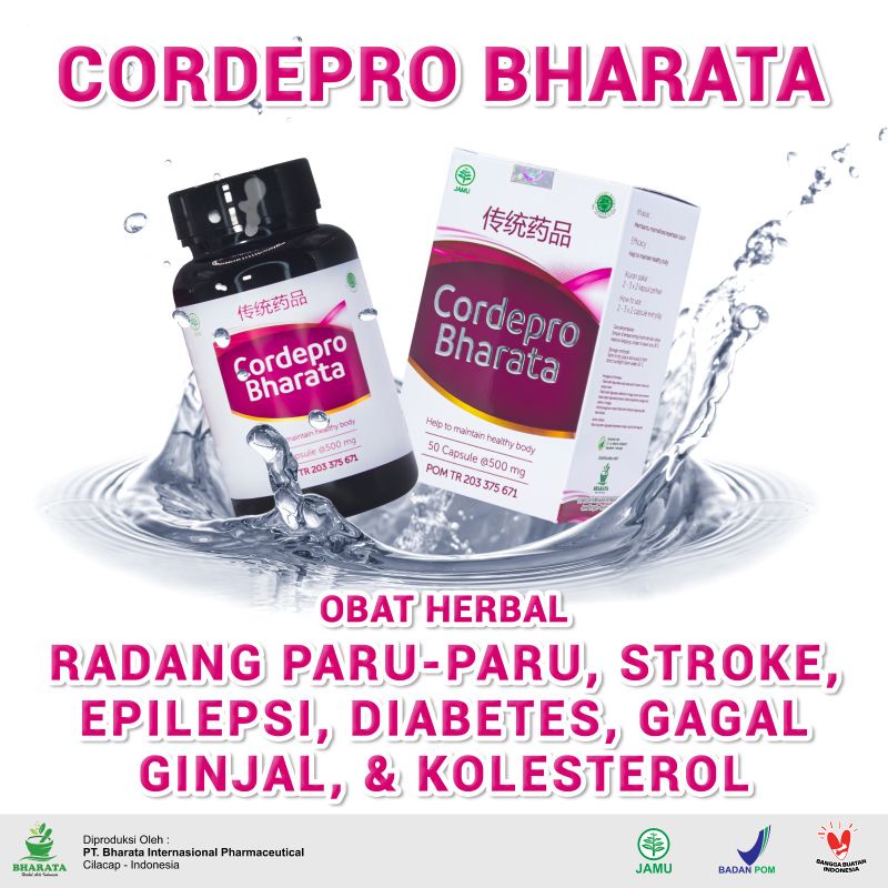 Jual Obat Herbal Cordepro Bharata Garansi 100% | Shopee Indonesia