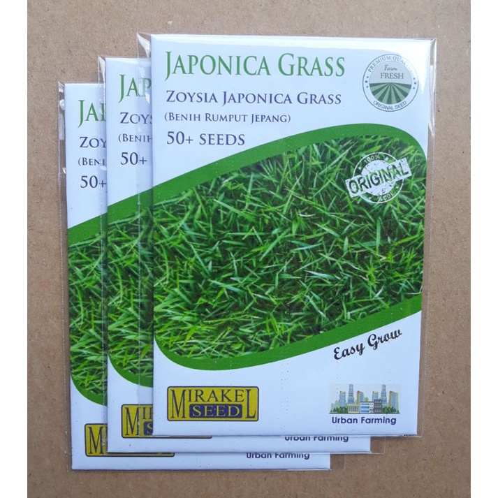 Jual Benih Rumput Jepang zoysia japonica grass ORI isi 50+ Biji ...