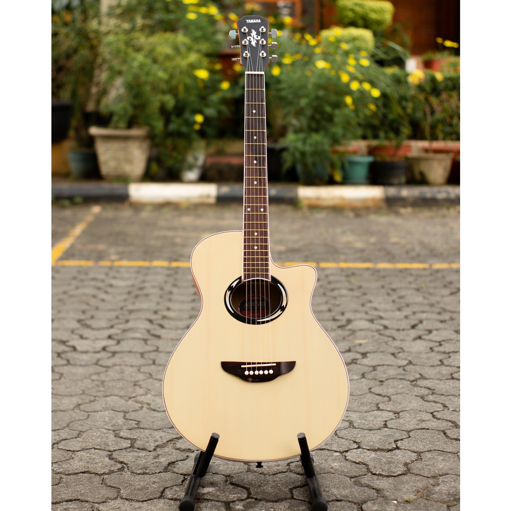 Jual Gitar Akustik APX 500 Natural Pemula Tanam Besi Bonus Lengkap ...