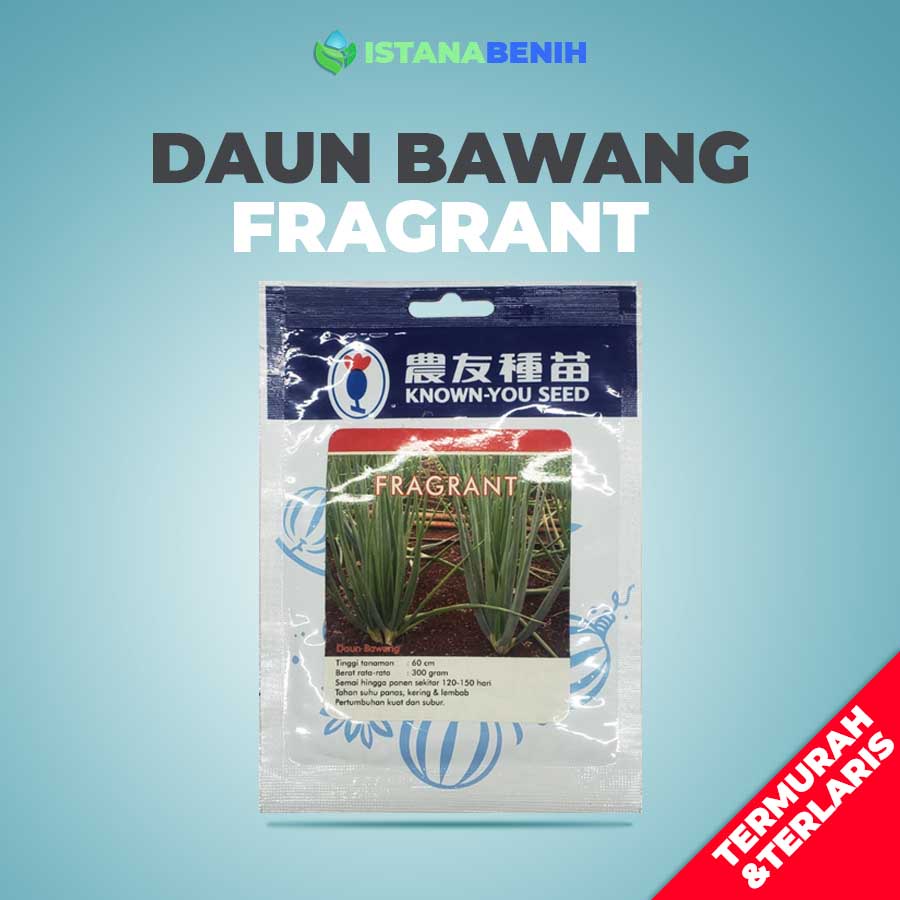 Jual BENIH DAUN BAWANG LONCANG FRAGRANT ISI 10 GR CAP KNOWN YOU SEED ...
