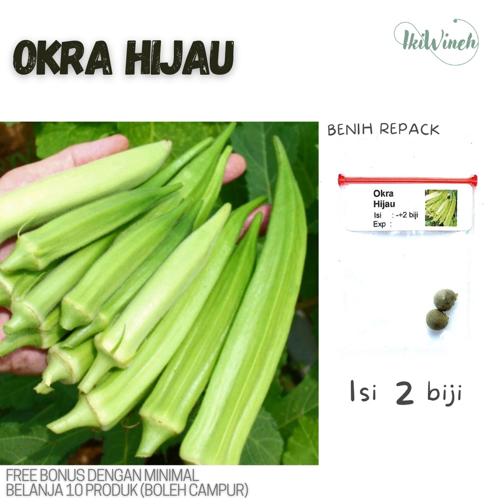Jual A.39 Benih OKRA HIJAU (repack isi 2 biji) | Shopee Indonesia
