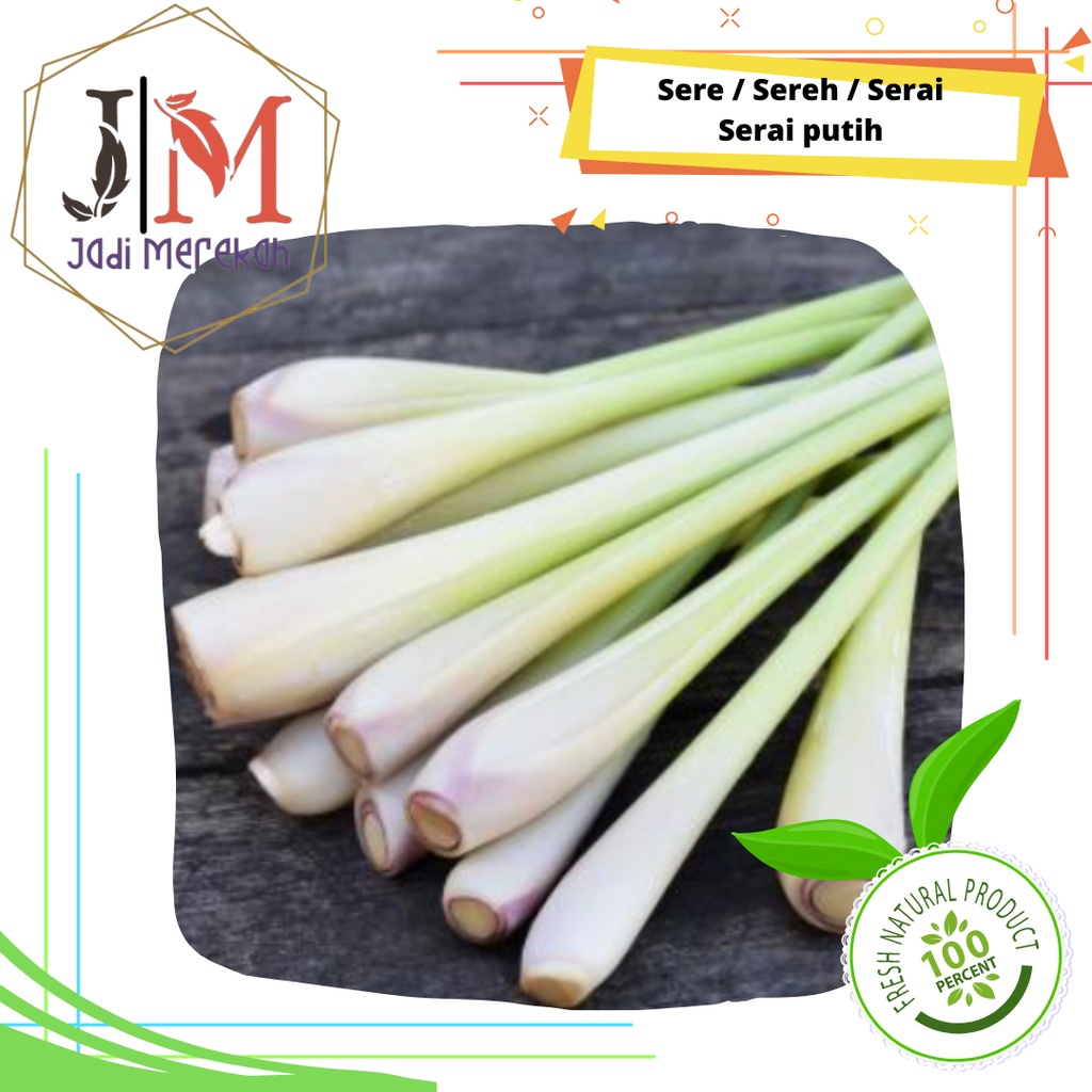 Jual [JM SoFresh] - Sere / Sereh/ Serai Putih | Shopee Indonesia