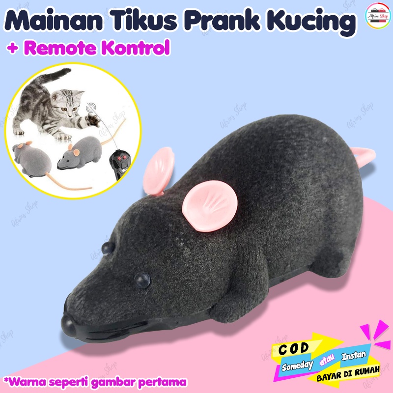 Jual Mainan Tikus Prank Mainan Anak Tikus Tikusan Mini dengan Remot ...