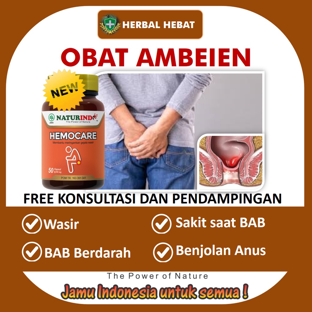 Jual Obat Wasir Ambeyen BAB Berdarah Ambeien Daun Ungu Naturindo Hemocare Obat Benjolan Anus ...