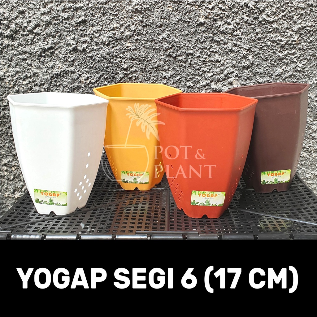Jual Pot Plastik Yogap Segi 6 - YP6 17 cm - Yogap 17 | Shopee Indonesia