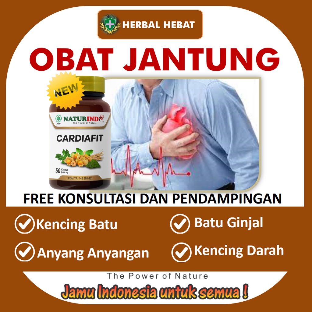Jual Obat Jantung Melancarkan Sirkulasi Darah Jantung Koroner Jantung ...