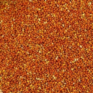 Jual biji jewawut Harga Terbaik & Termurah Juli 2025 | Shopee Indonesia