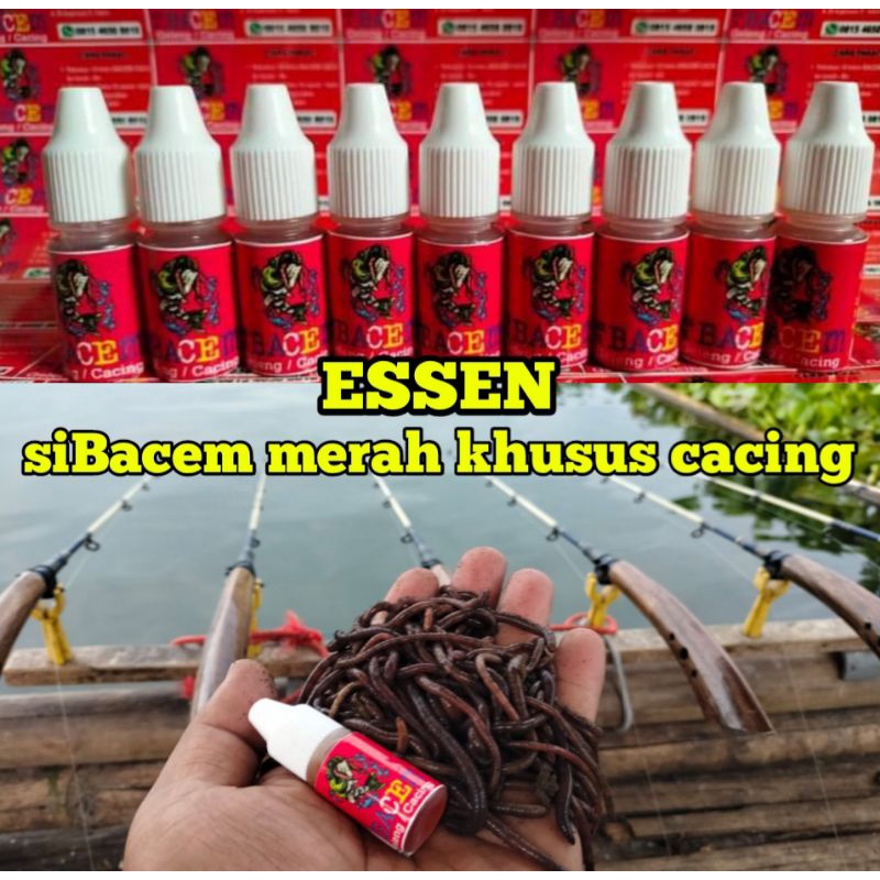 Jual ESSEN CACING siBACEM MERAH | Shopee Indonesia