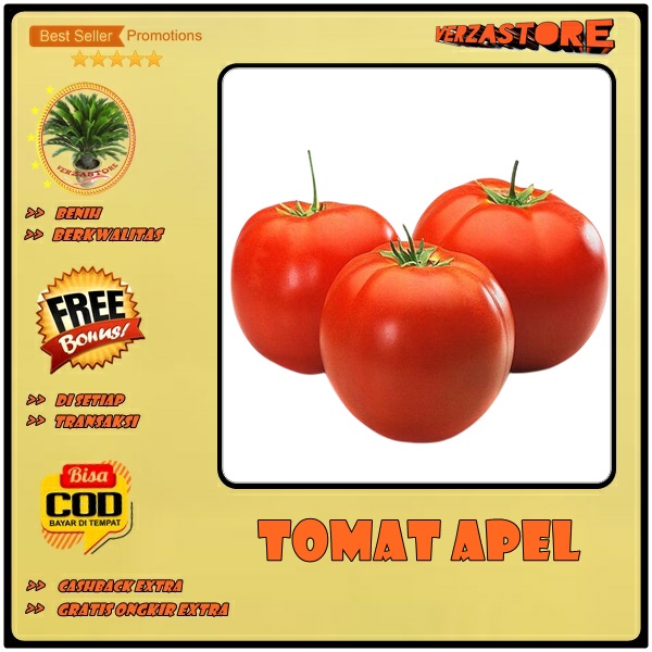 Jual biji/benih/bibit buah tomat apel /10 biji | Shopee Indonesia
