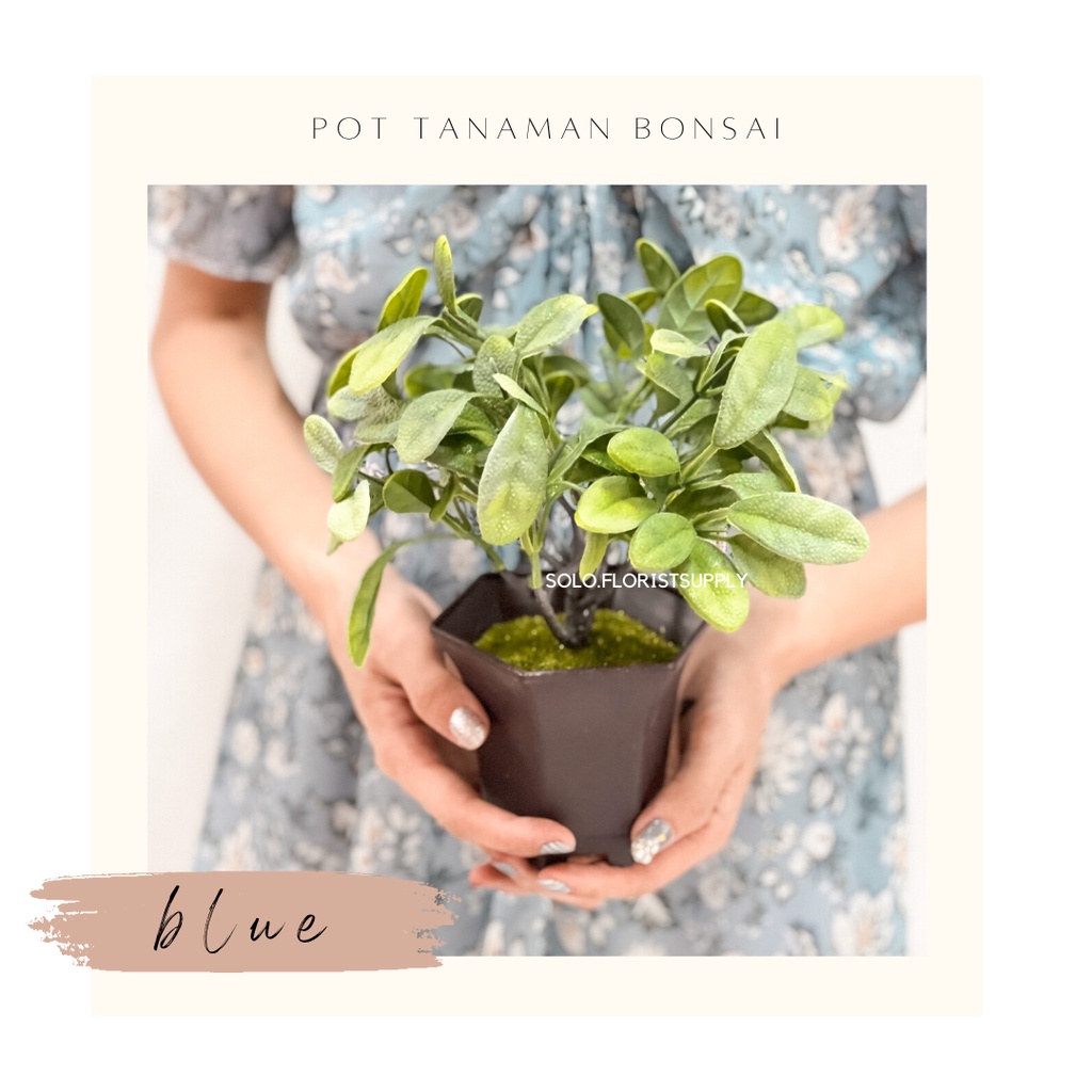 Jual POT TANAMAN BONSAI POMPOM HIASAN MEJA CAFE RUMAH Ornamen Pot ...