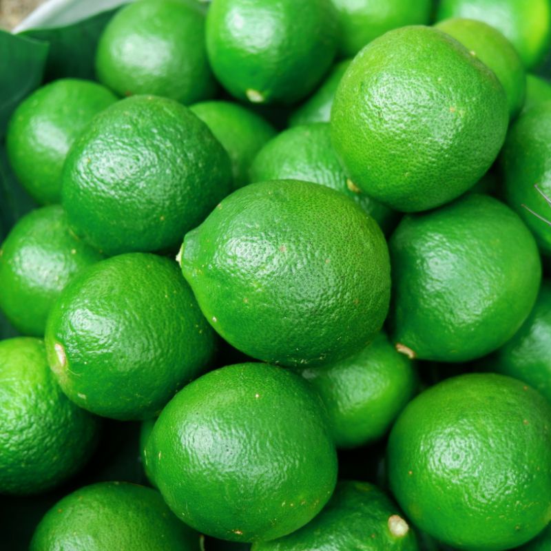 Jual Jeruk Nipis Segar 1 kg | Shopee Indonesia