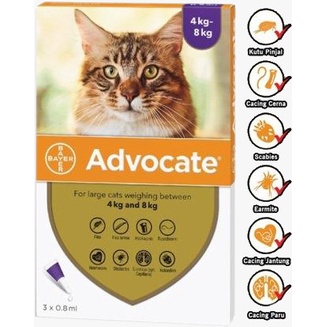 Jual Obat Tetes Kutu Cacing Tungau Flea Scabies Kucing Advocate 4 – 8 ...