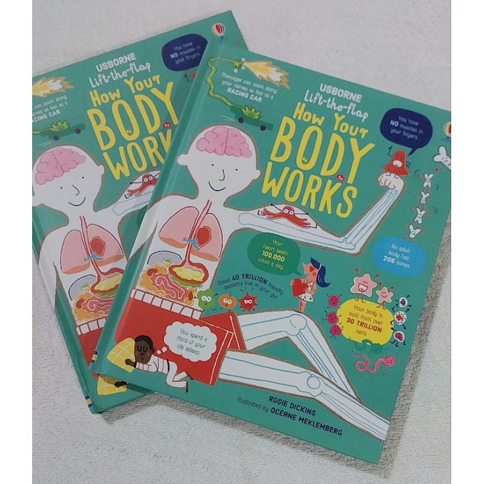 Jual Buku usborne look inside lift the flap book collection - HOW YOUR ...