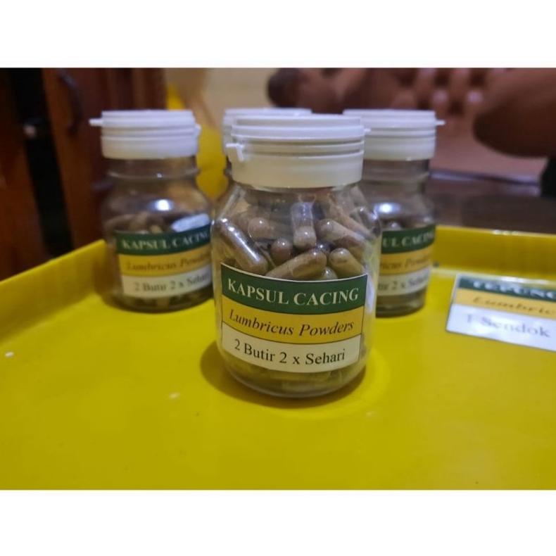 Jual PRODUK- KAPSUL CACING LUMBRICUS RUBELLUS ISI 100 PCS / KAPSUL ...