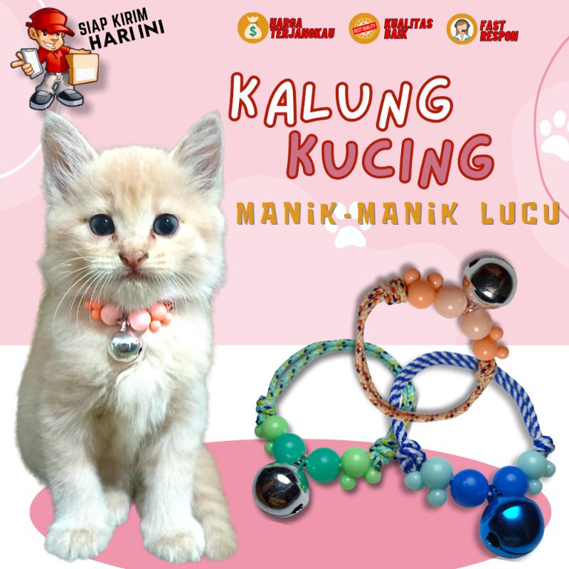Jual kalung kucing anti kutu terbaik cocok untuk segala macam jenis ...