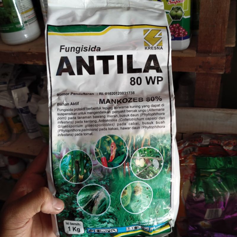Jual ANTILA 80 WP 1kg | Shopee Indonesia