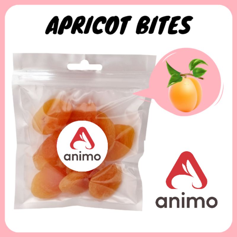 Jual Snack Kelinci Sugar Glider Hamster Apricot 10pcs Buah Pakan ...