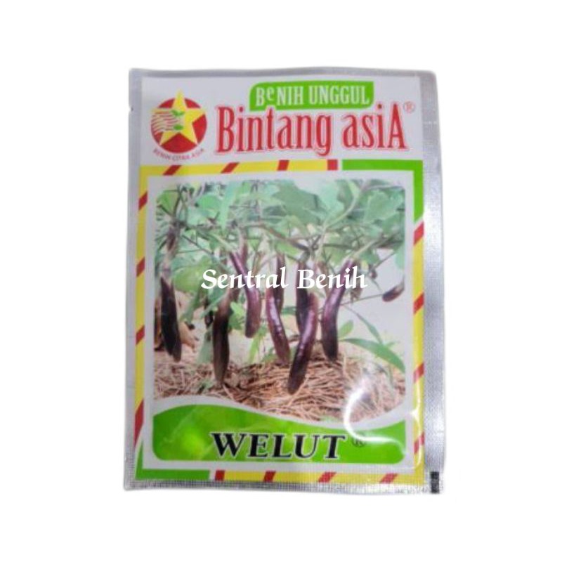Jual Benih Terong Ungu Welut 10Gram - Cap Bintang Asia | Shopee Indonesia