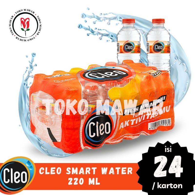 Jual Cleo Smart Water (Air Mineral) 220 ml isi 24 botol | Shopee Indonesia