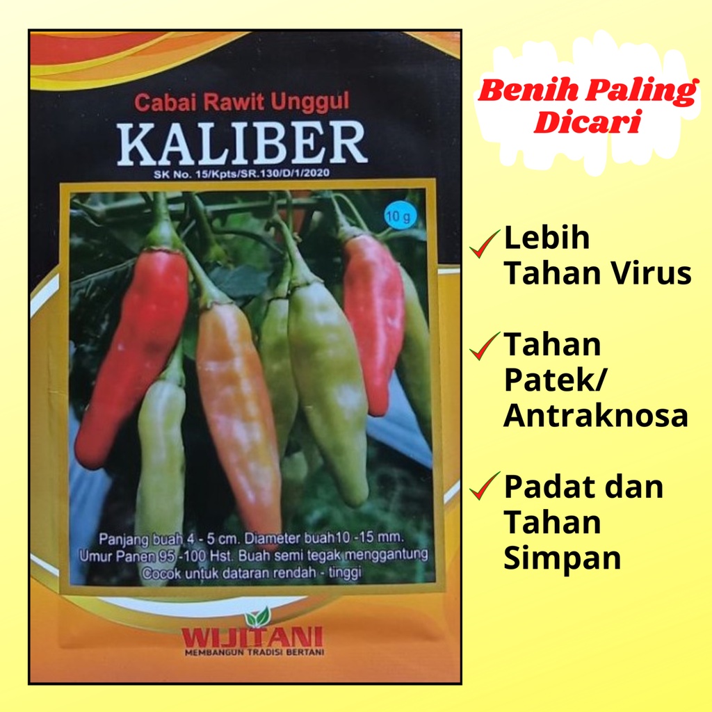 Jual Benih Bibit Cabe Rawit Setan KALIBER 10g dari Wijitani | Shopee ...