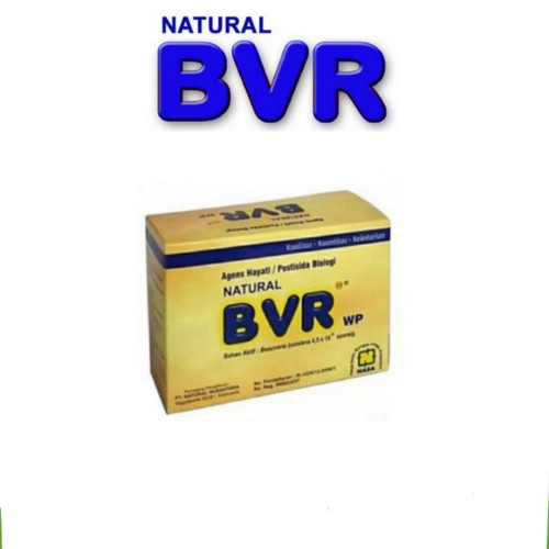 Jual BVR WP Nasa Pengendali Penyakit Tanaman Organik 100 gr | Shopee Indonesia