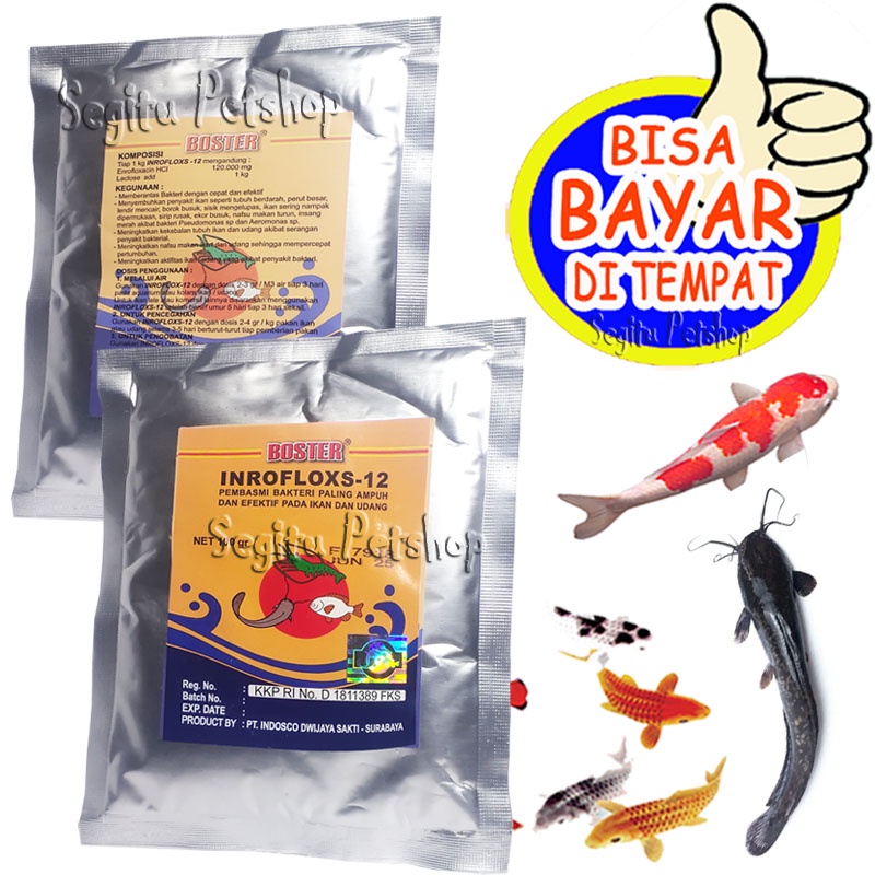 Jual OBAT JAMUR IKAN HIAS GURAME MAS PATIN NILA LELE SERBUK BOSTER INROFLOXS 12 | Shopee Indonesia