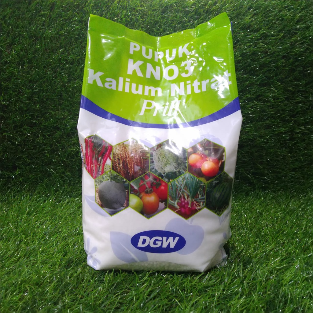 Jual Pupuk KNO3 kalium nitrat prill isi 500 gram/kemasan asli/KNO putih ...