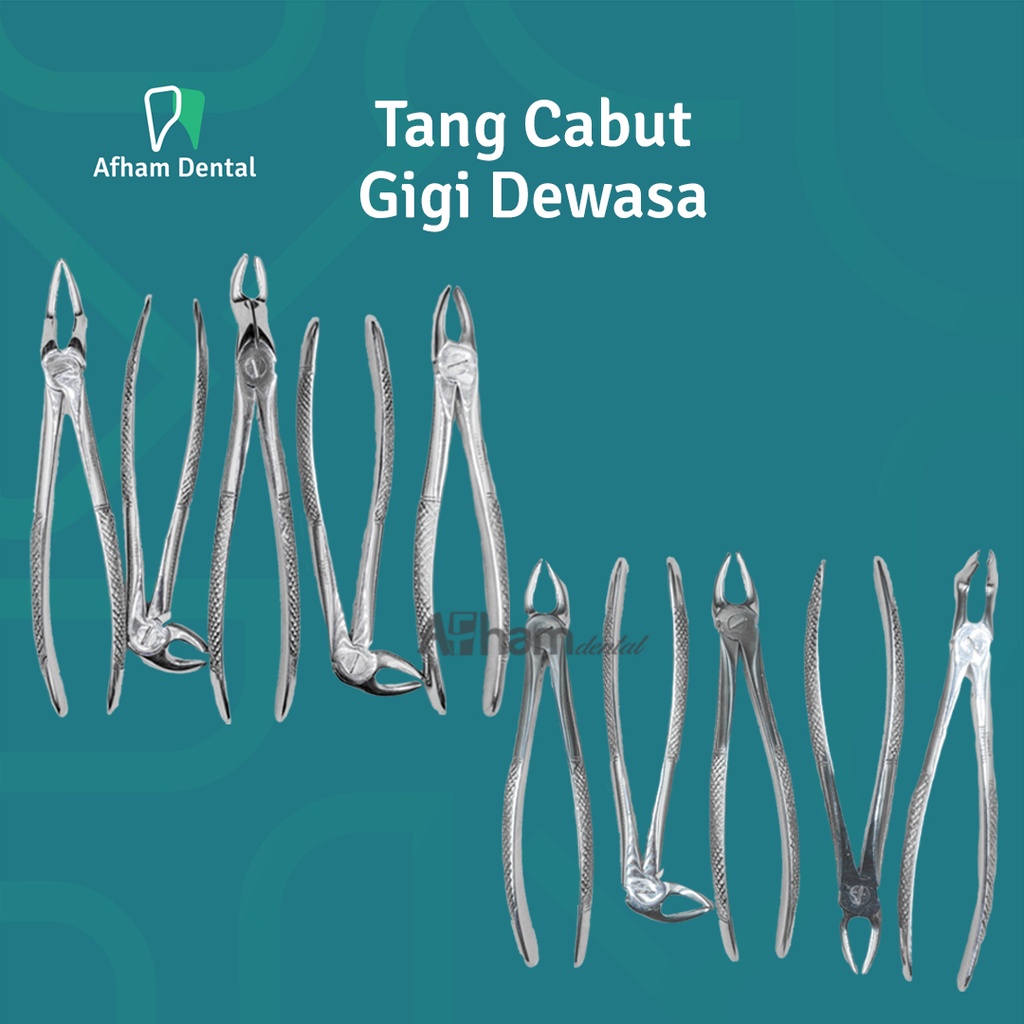 Jual DENTAL TANG CABUT GIGI DEWASA SATUAN ADULT TOOTH FORCEP / FORCEPT ...