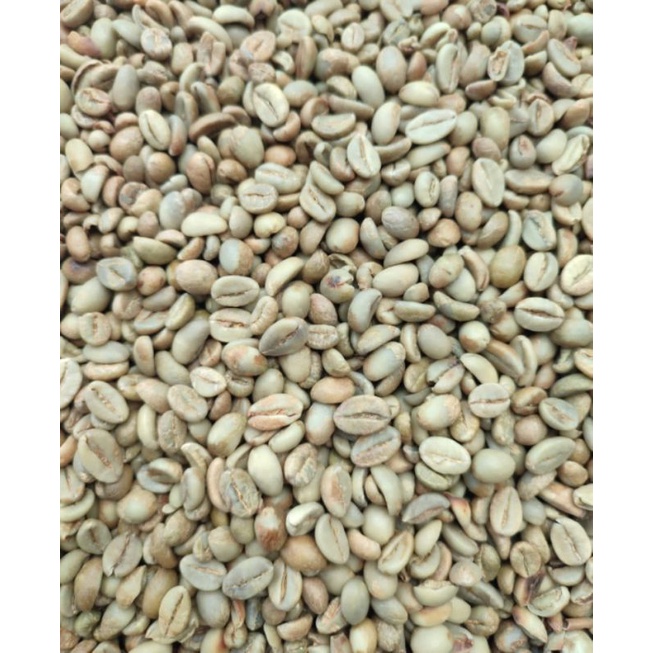 Jual Green Bean Robusta Temanggung 1 kg | Shopee Indonesia
